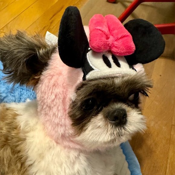 Miniso | Dog | Minnie Mouse Hat Famous Miniso Product An Iconic Disney ...